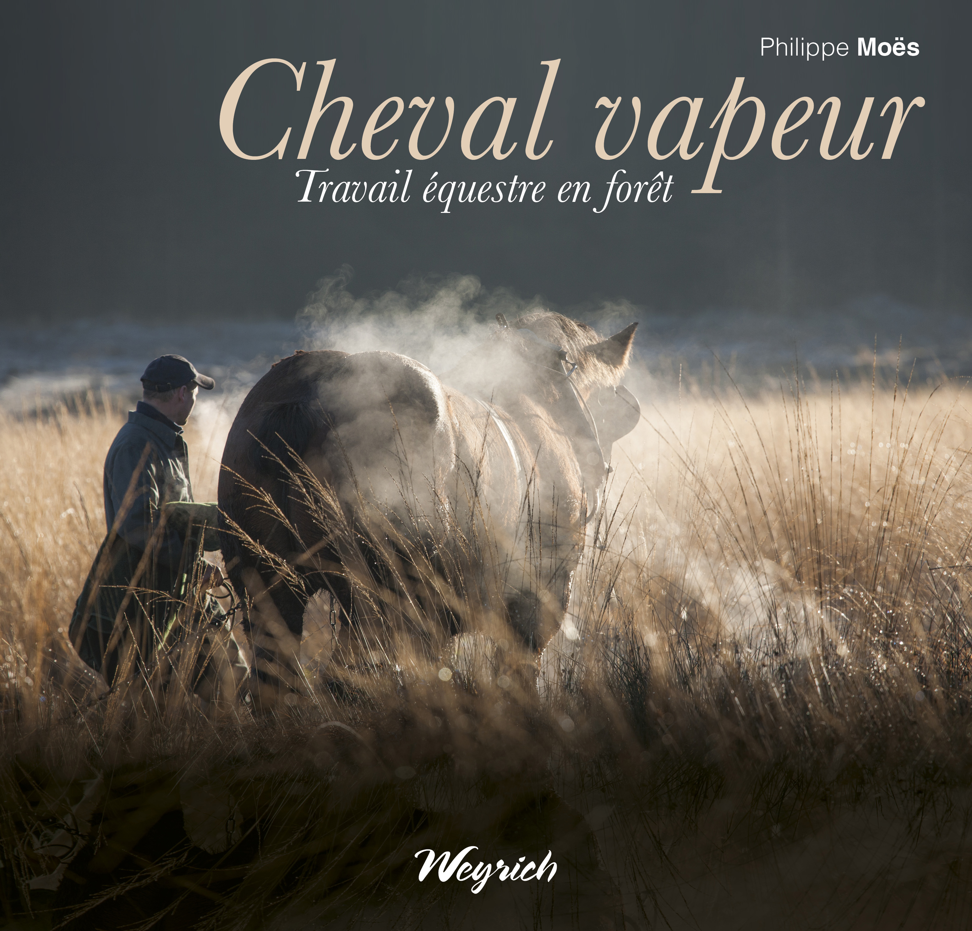 PHILIPPE MOES, Cheval vapeur, Travail équestre en forêt. - AREAW